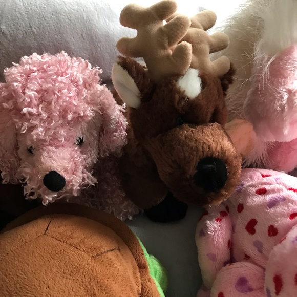 Toys | Ganz Webkinz Plush Poodle Horses Lot Of 8 | Poshmark